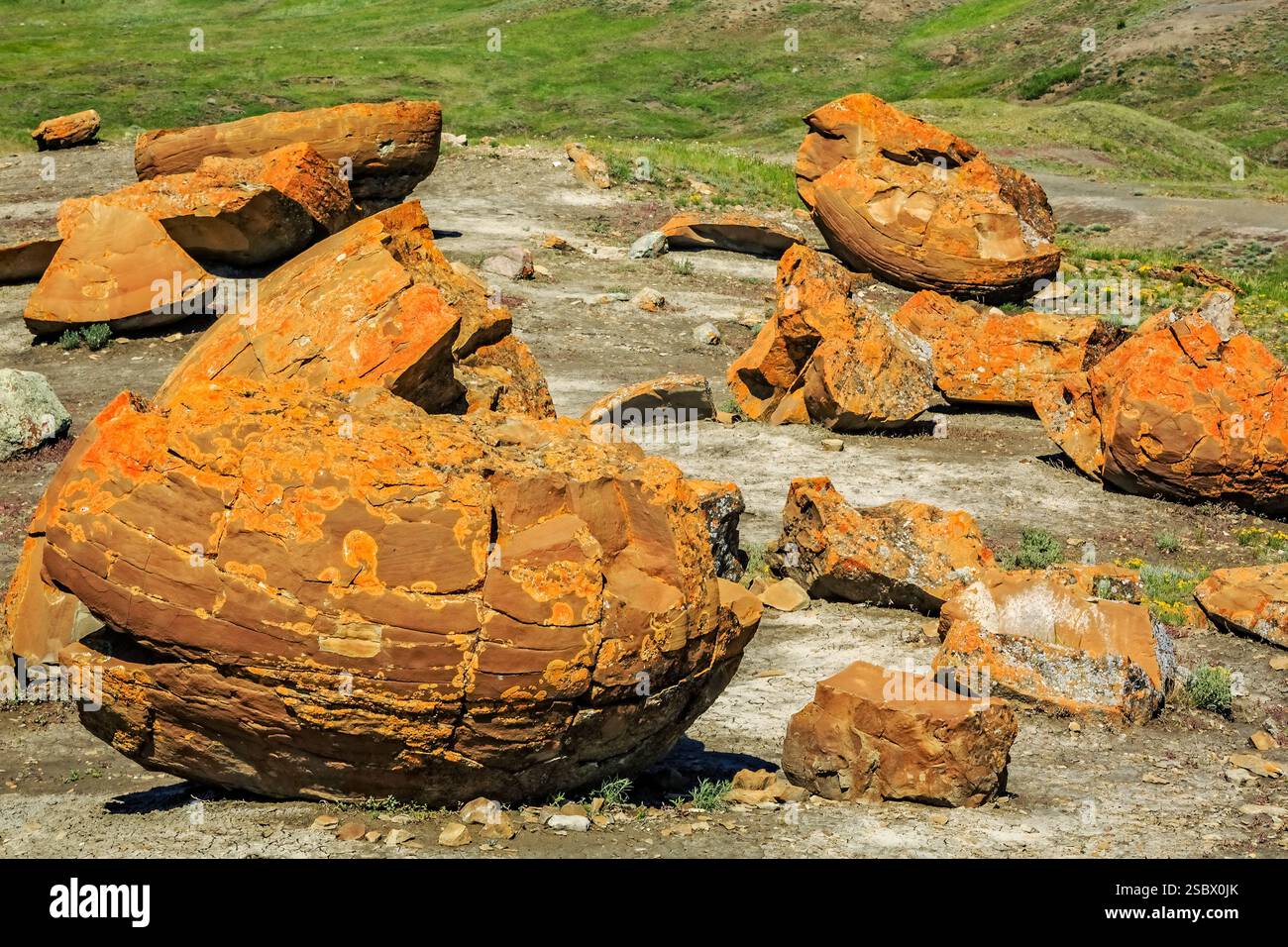 Large rock with moss on it is sitting on the ground. There are many ...