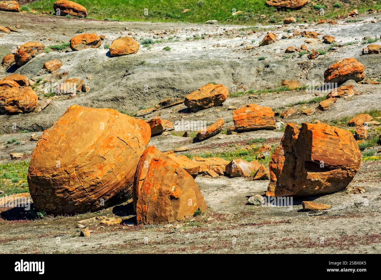Large rock is sitting on the ground next to a smaller rock. The ground ...