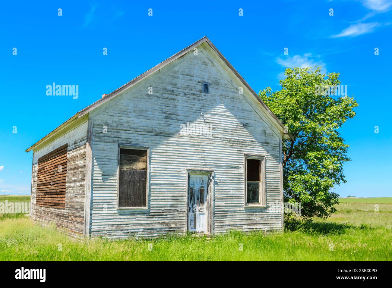 Small, old, white house with a tree in front of it. The house is in a ...