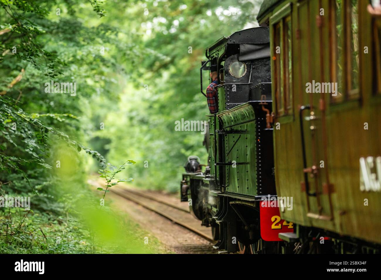 Vintage museum steam train rolling through green forest Stock Photo - Alamy