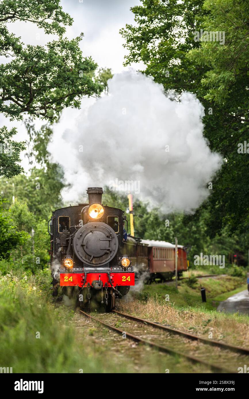 Vintage museum steam train approaching through green forest Stock Photo ...
