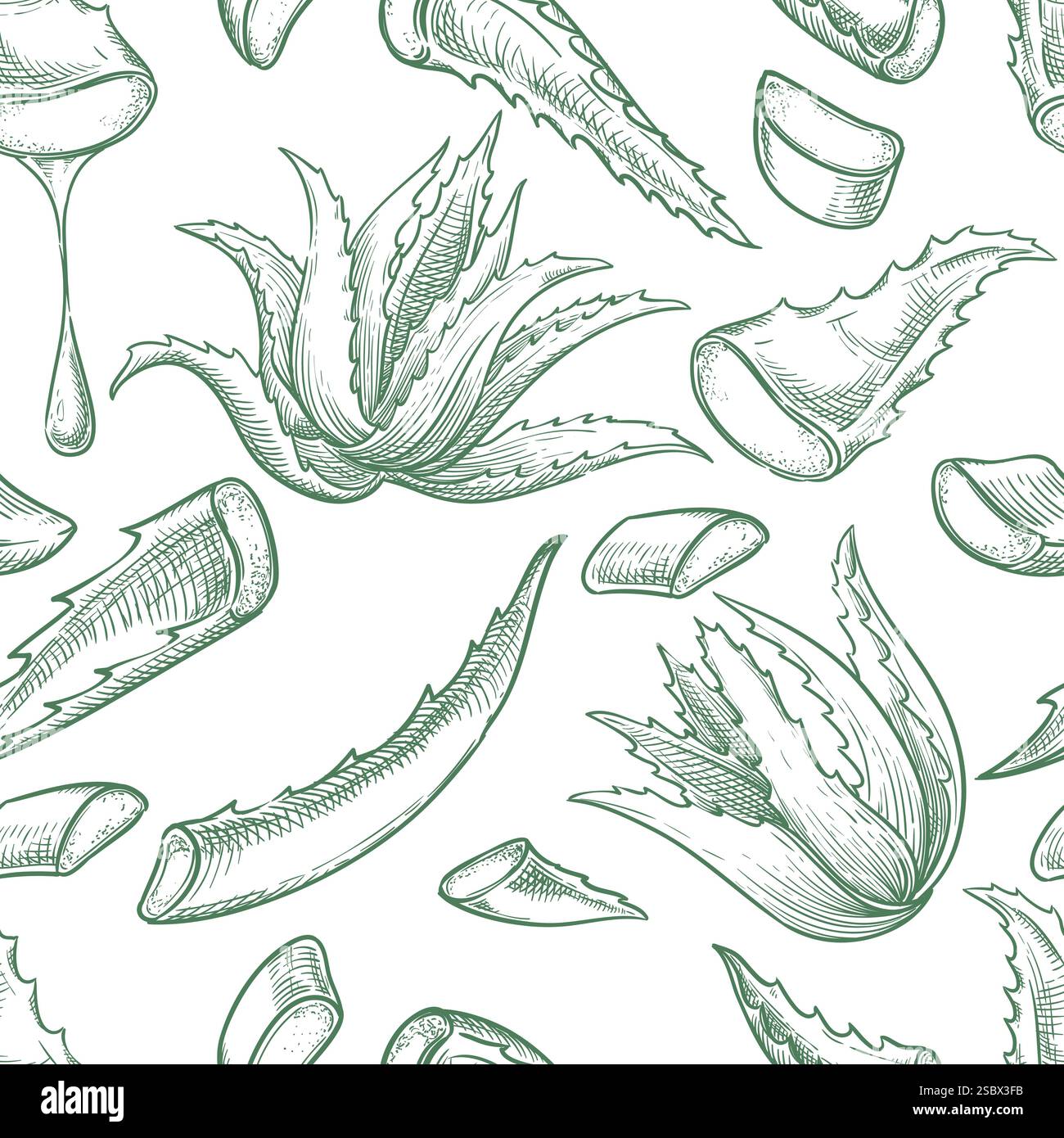 Aloe vera plant seamless pattern. Hand drawn sketch vector illustration ...