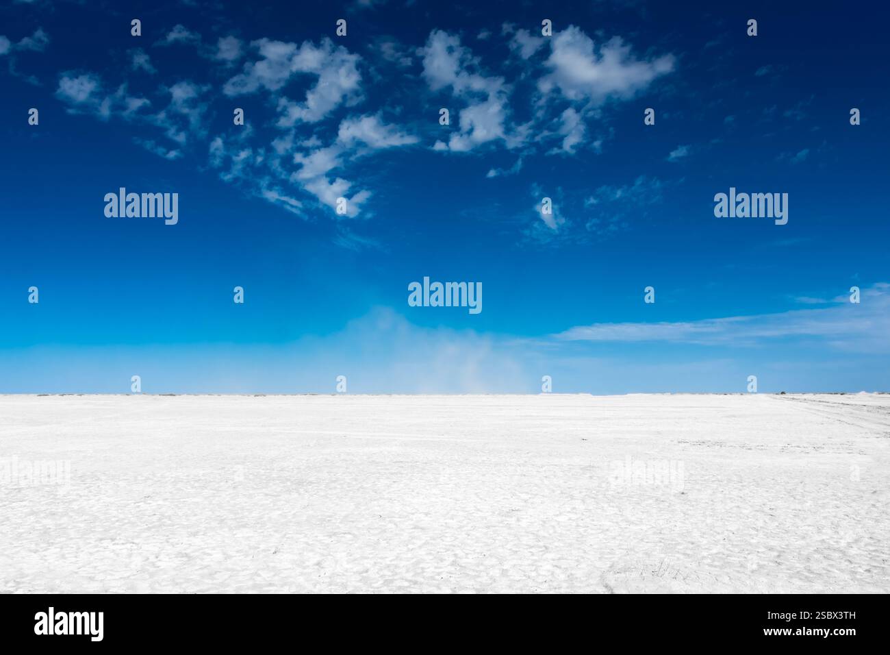 White salt marsh in the Aral Sea desert, Kazakhstan Stock Photo - Alamy