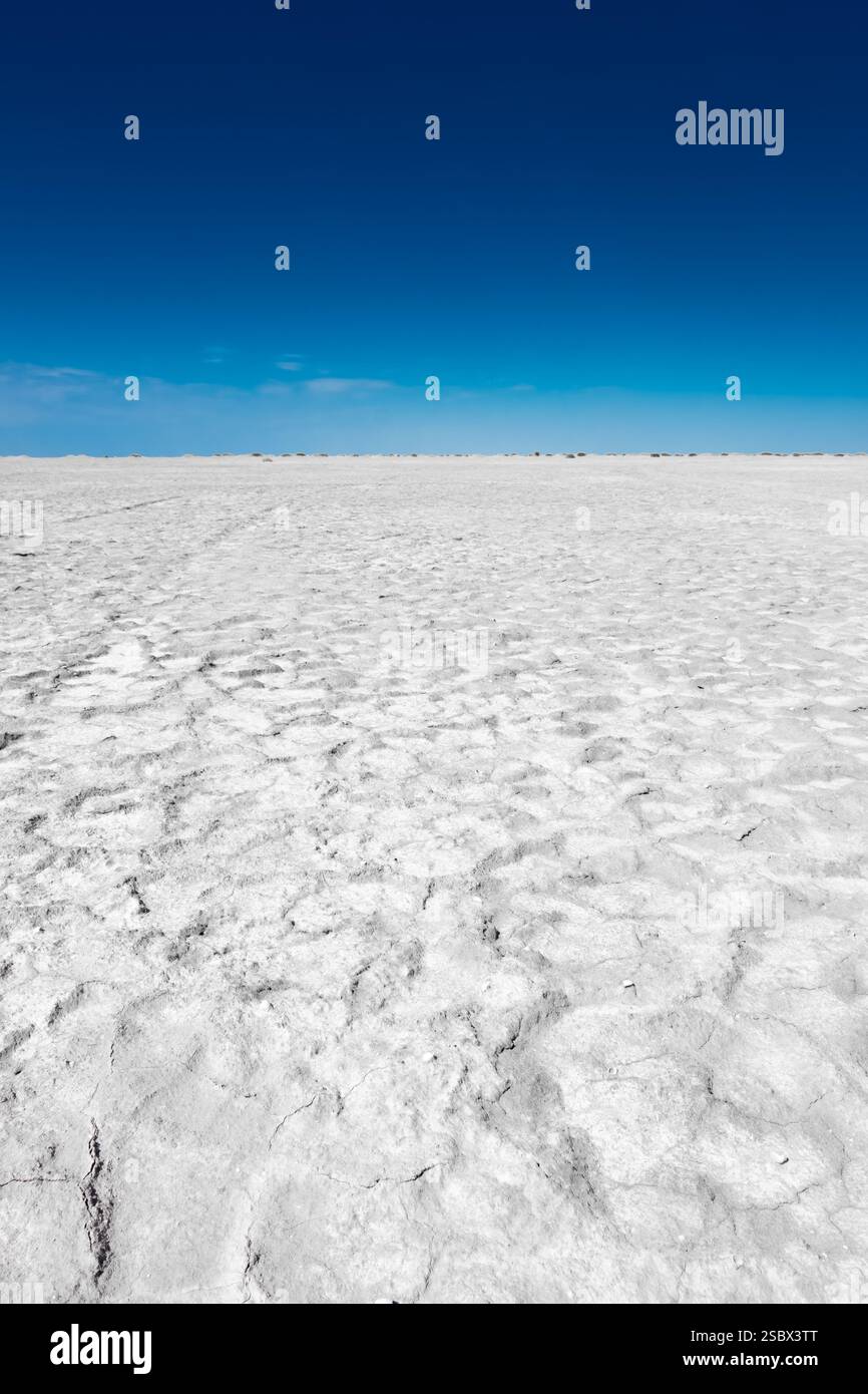 White salt marsh in the Aral Sea desert, Kazakhstan Stock Photo - Alamy