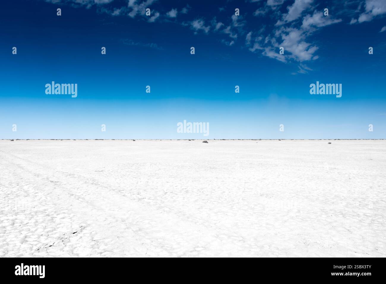 White salt marsh in the Aral Sea desert, Kazakhstan Stock Photo - Alamy