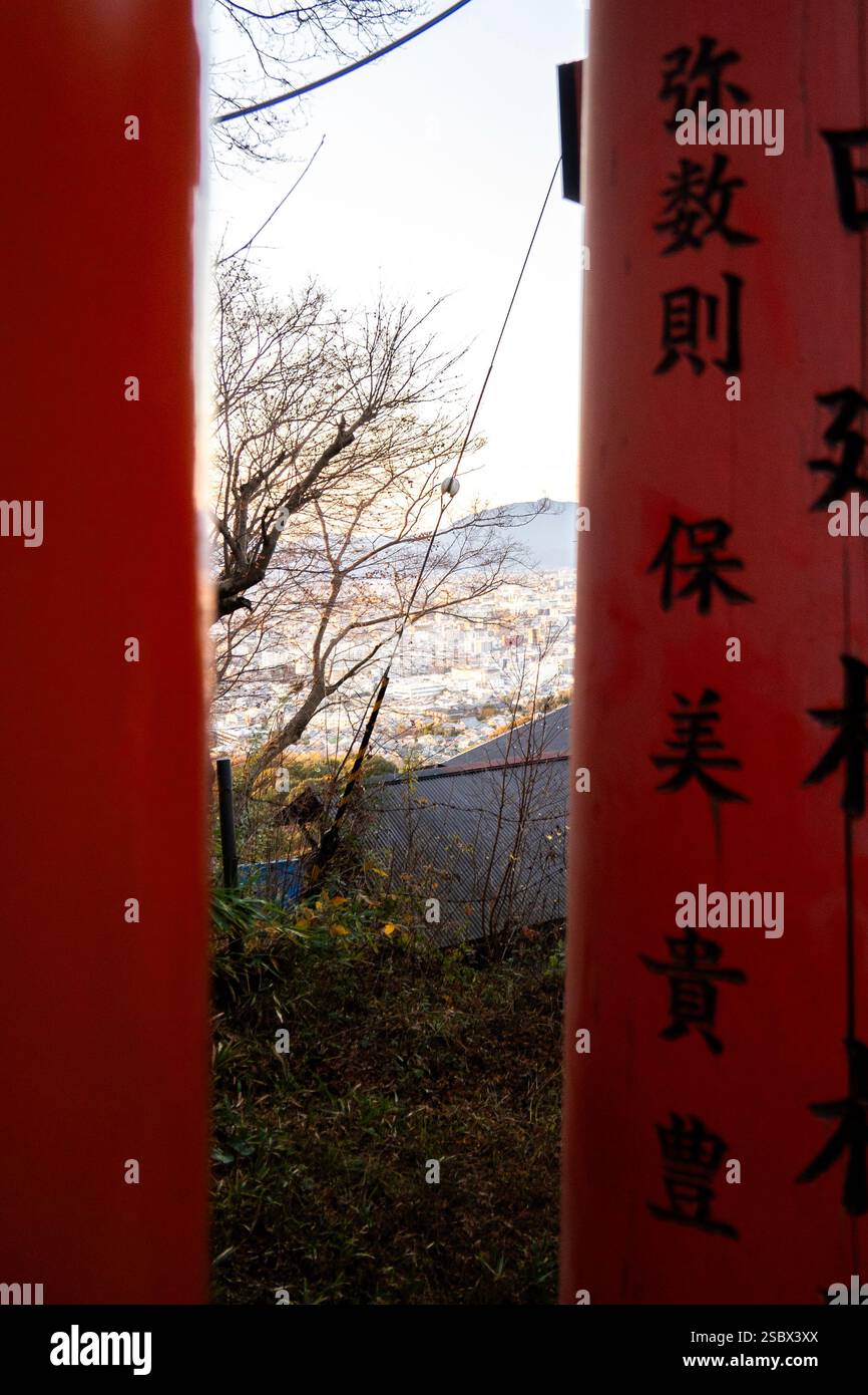 shinto shrine arches in Fushimi Inari in Japan Stock Photo - Alamy