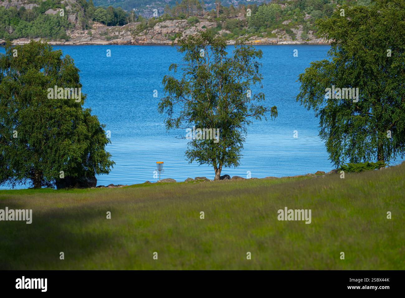 Disc golf target in a field by the sea Stock Photo - Alamy
