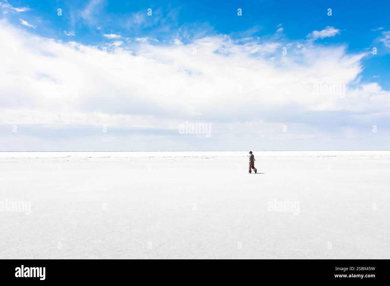 White salt marsh desert of the Aral Sea, Uzbekistan Stock Photo - Alamy