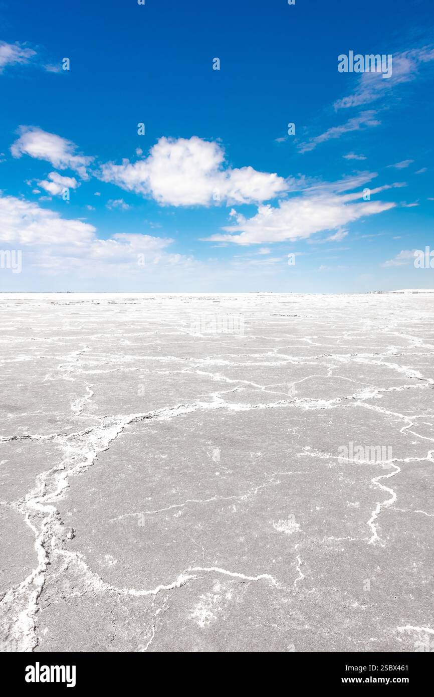 White salt marsh desert of the Aral Sea, Uzbekistan Stock Photo - Alamy