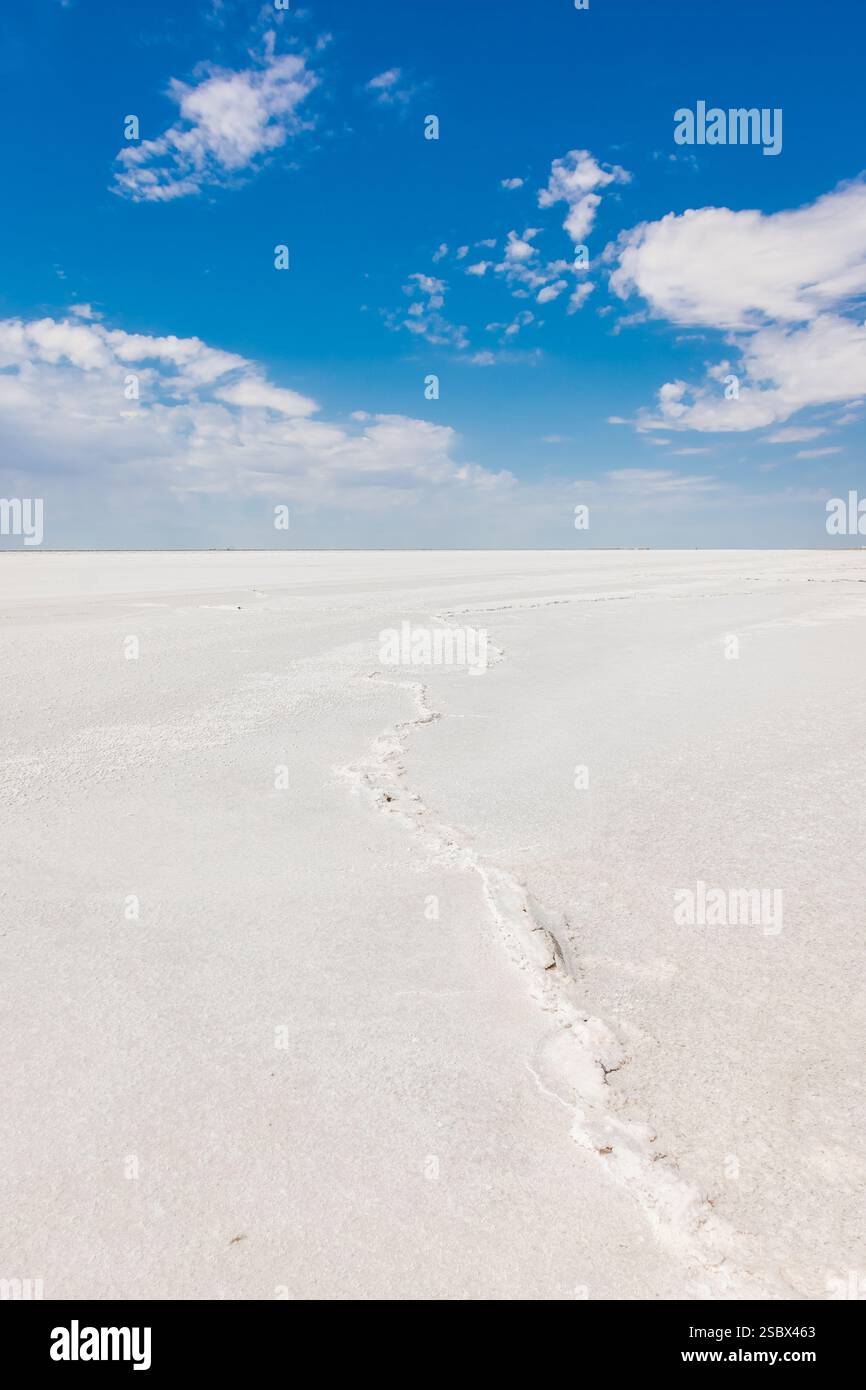 White salt marsh desert of the Aral Sea, Uzbekistan Stock Photo - Alamy