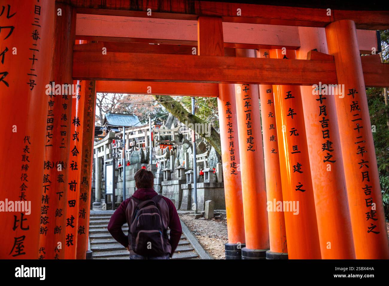 shinto shrine arches in Fushimi Inari in Japan Stock Photo - Alamy