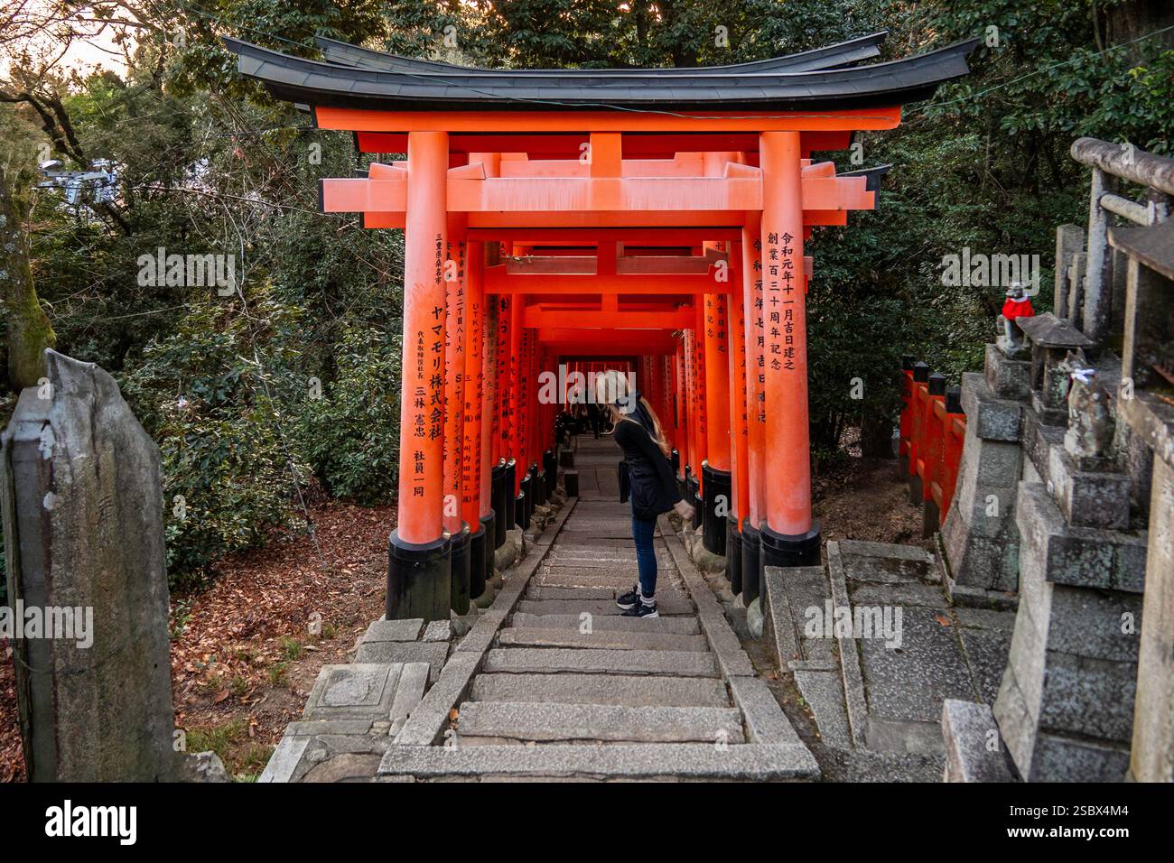 shinto shrine arches in Fushimi Inari in Japan Stock Photo - Alamy