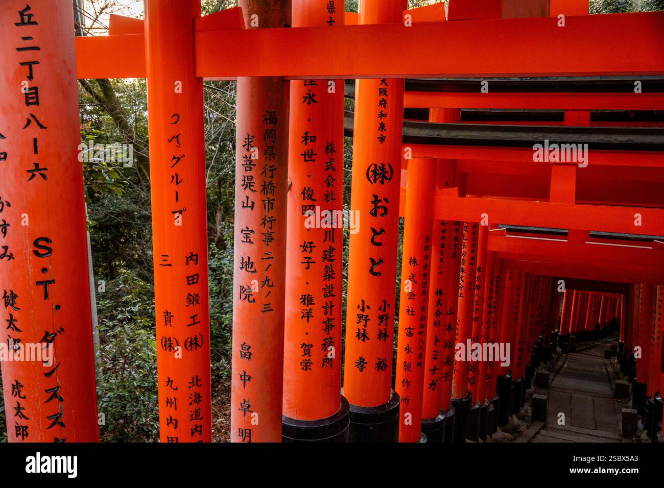 shinto shrine arches in Fushimi Inari in Japan Stock Photo - Alamy