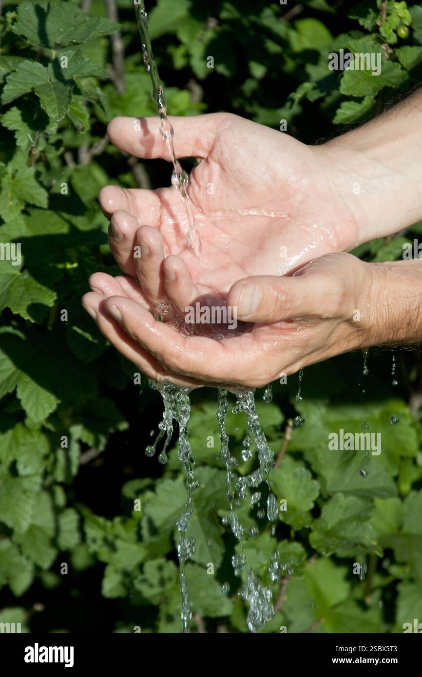 Hand washing in the summer of cool clean water Stock Photo - Alamy