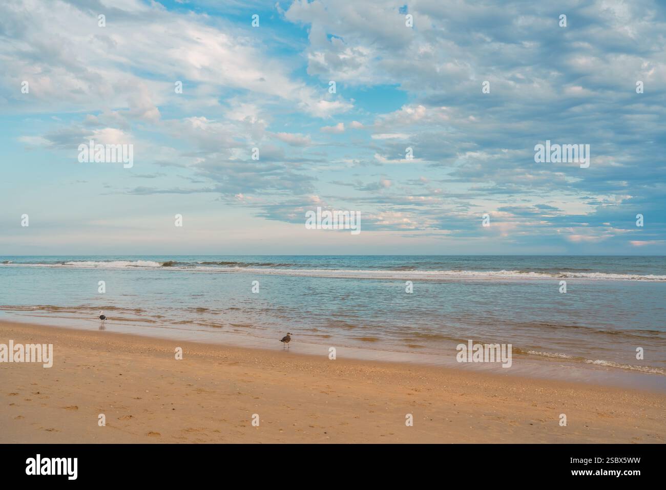 Blue ocean clean beach under hi-res stock photography and images - Alamy