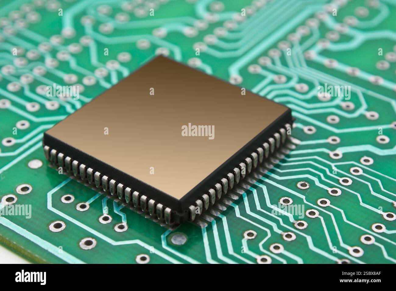 chip on the board computer Stock Photo - Alamy