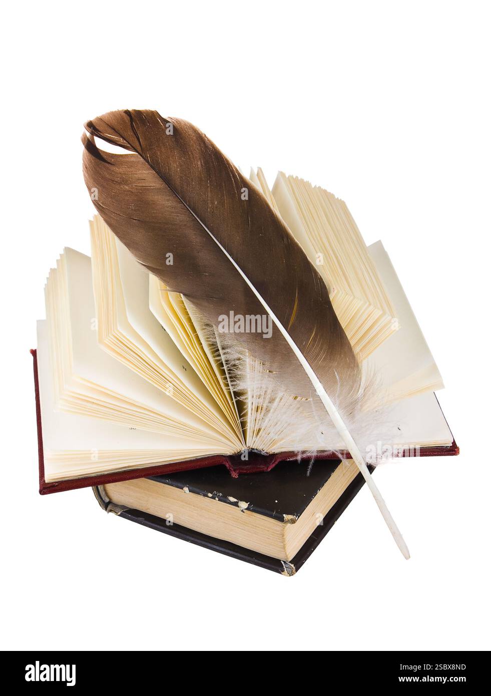 Launched book pen hi-res stock photography and images - Alamy