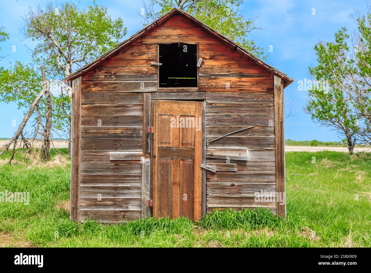 Small, old, wooden building with a door and a window. The door is open ...