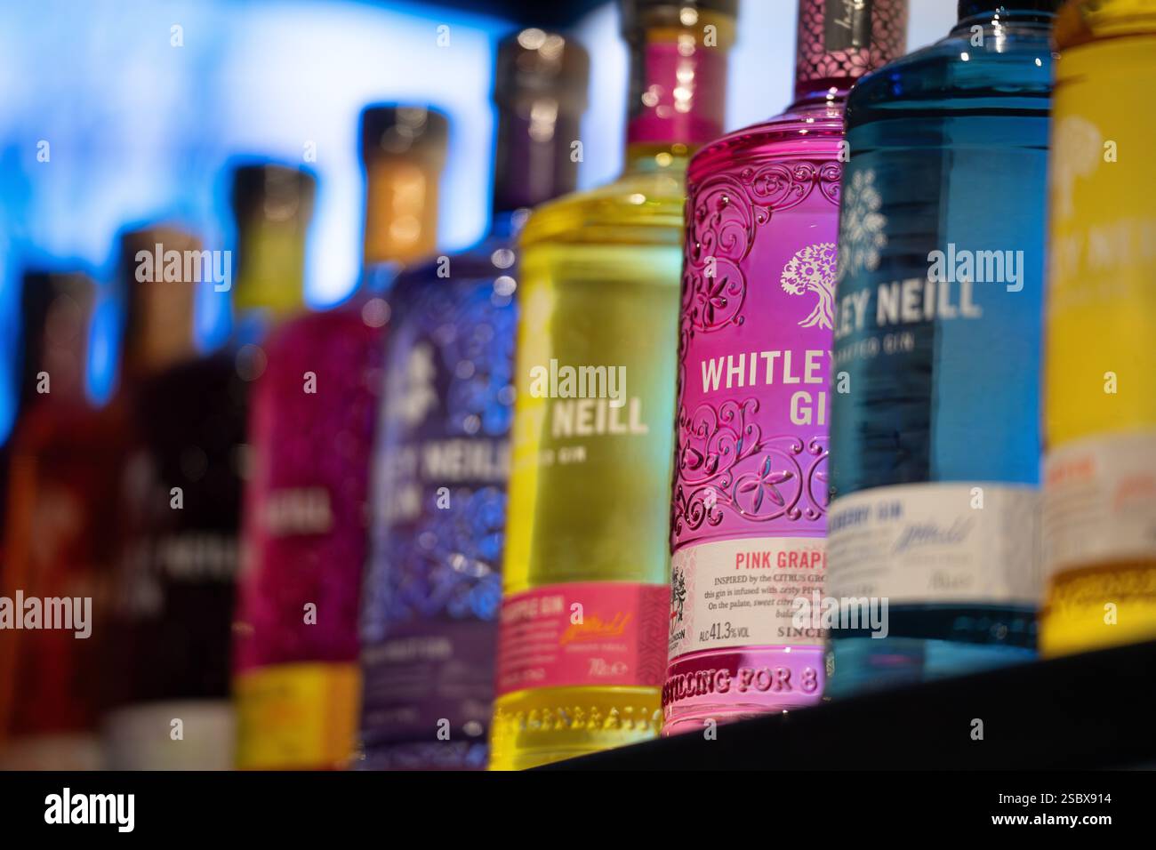 Variety of colorful, decorated Grey Neil gin bottles, including a Pink ...