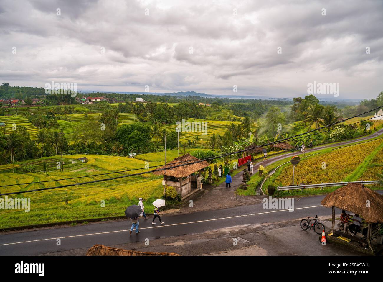 Bali, Indonesia - November 29, 2023: A slice of Balinese rural life ...