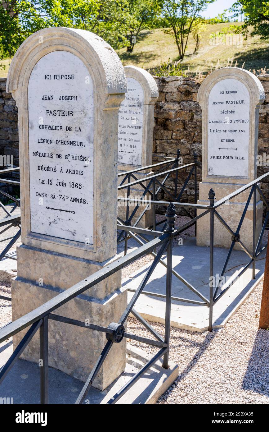 Grave of Jean Joseph Pasteur, Louis Pasteur's father, and his sister ...