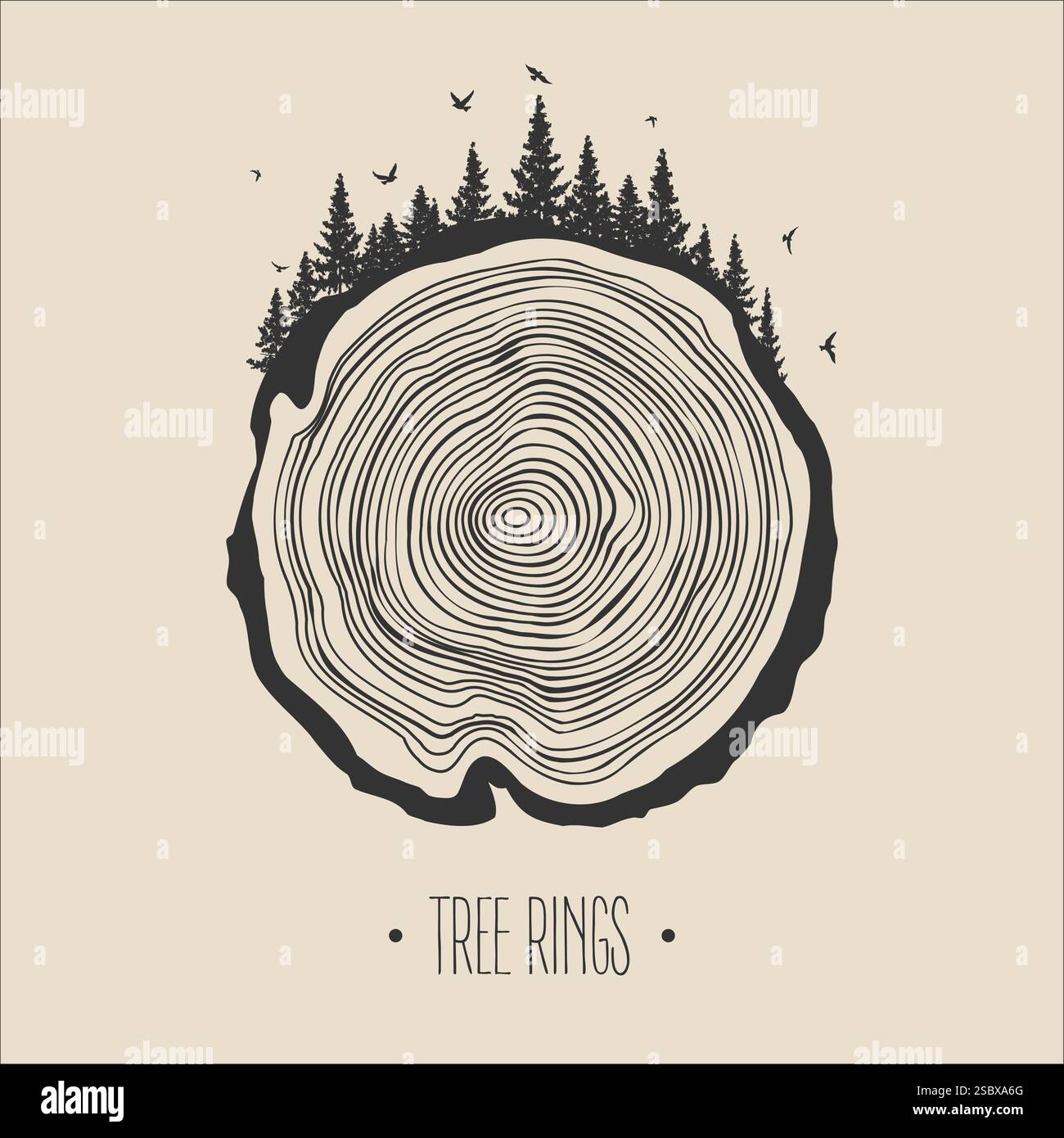 Round tree trunk cut with trees, forest and birds. Sawn pine or oak ...