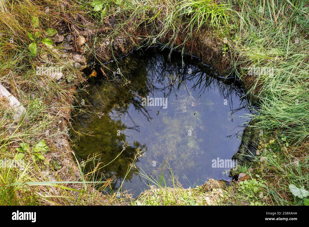 Oak-lined well in the Gallo-Roman site Archeologique les Fontaines ...