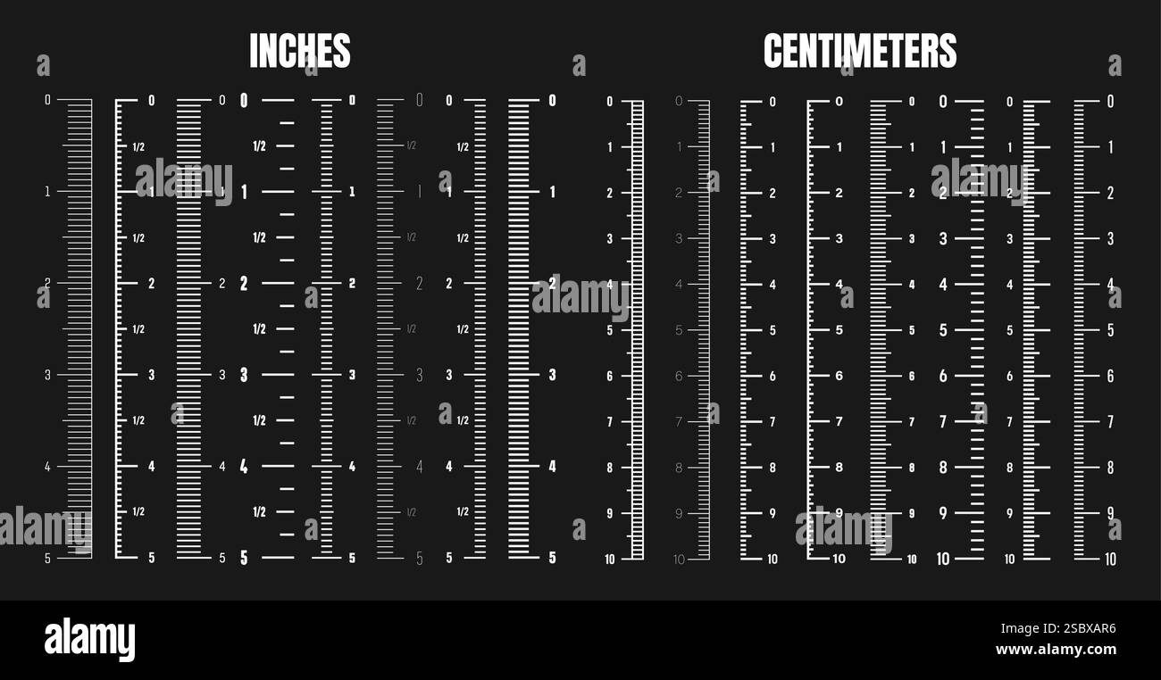 Vertical centimeter and inch scale for measuring length or height ...