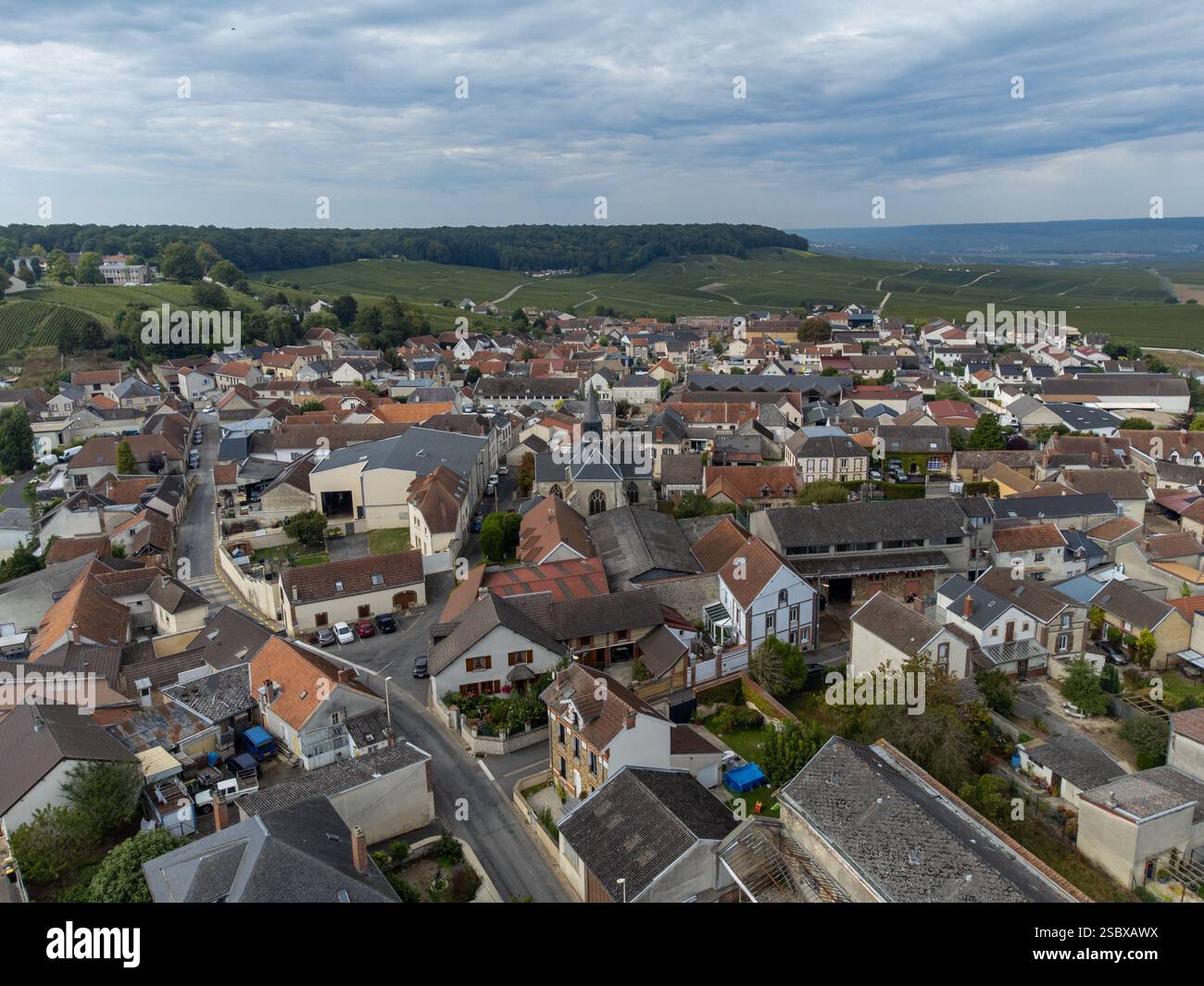 Aerial view on grand cru vineyards near Cramant and Avize, region ...