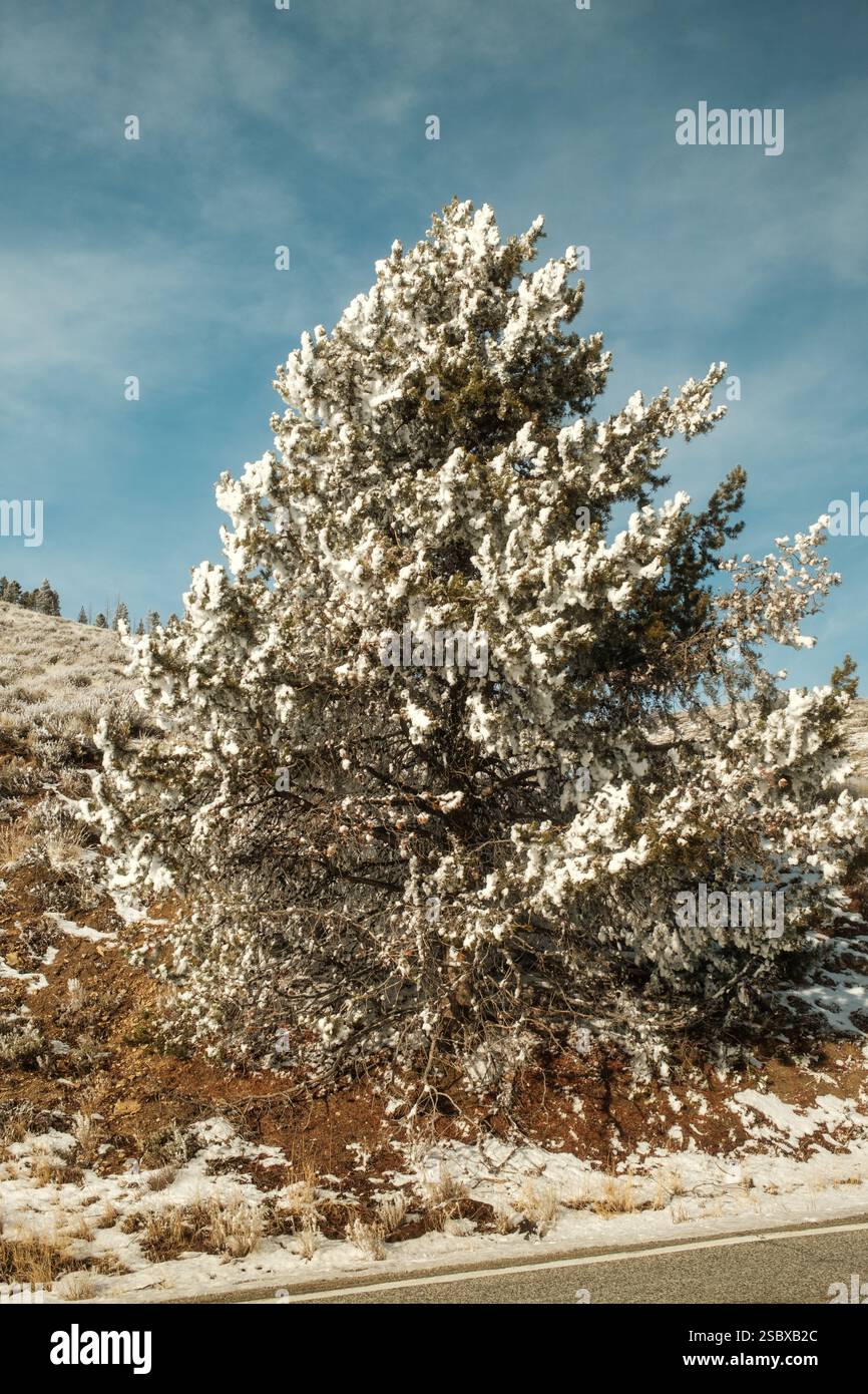 Winter scenes in Stanley Idaho Stock Photo - Alamy