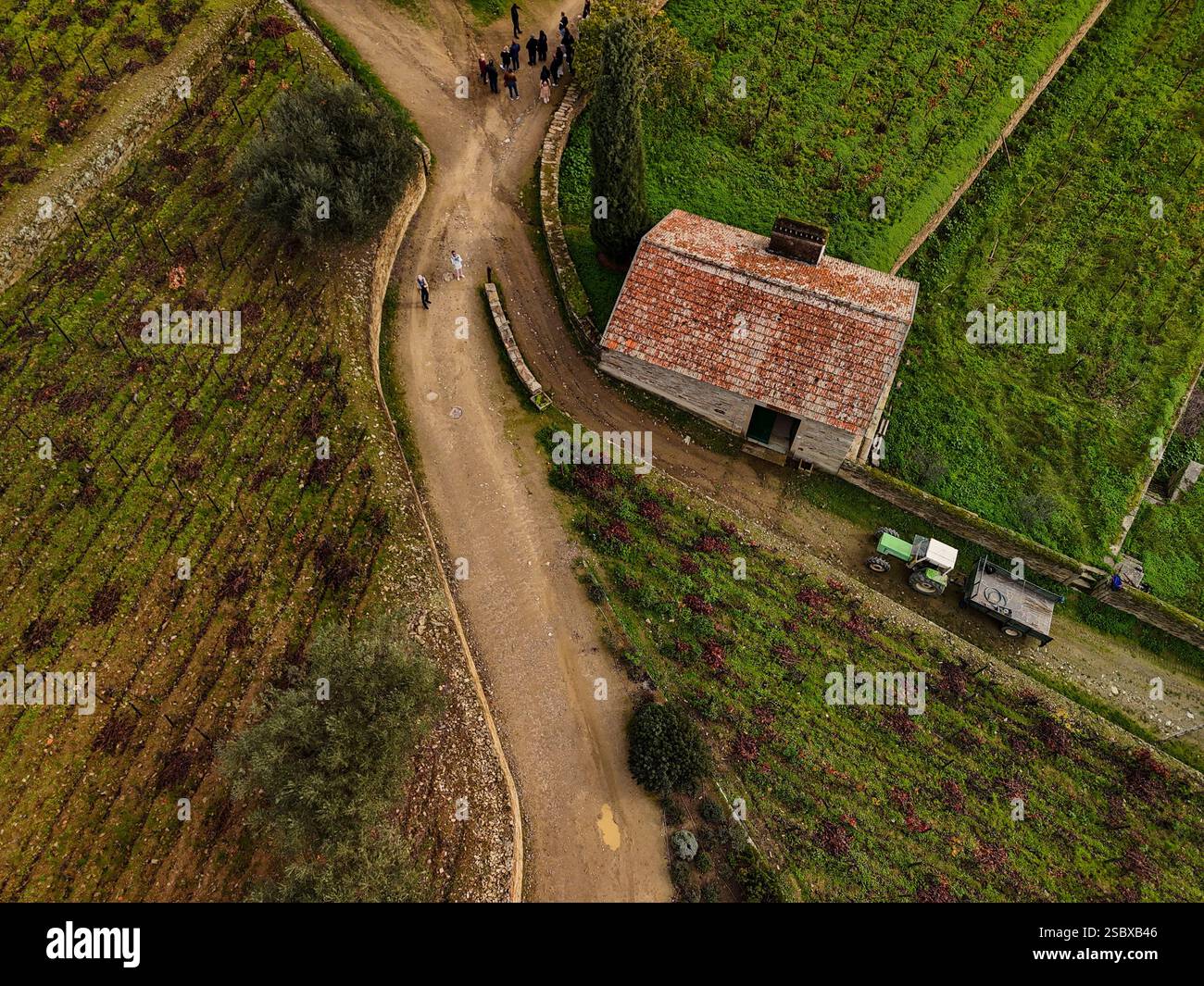 Scenic view of Douro valley and its famous terraced vineyards in ...