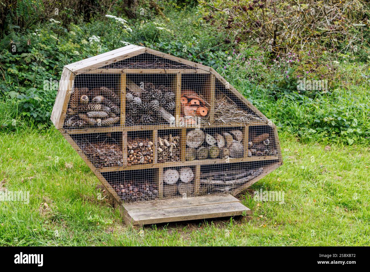 Bug house hi-res stock photography and images - Alamy