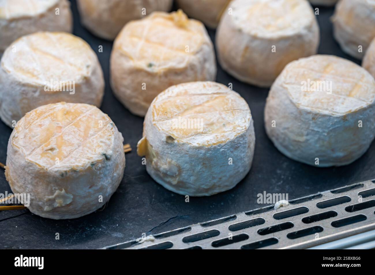 French goat chevre cheeses fresh and crottin chavignol, made from ...