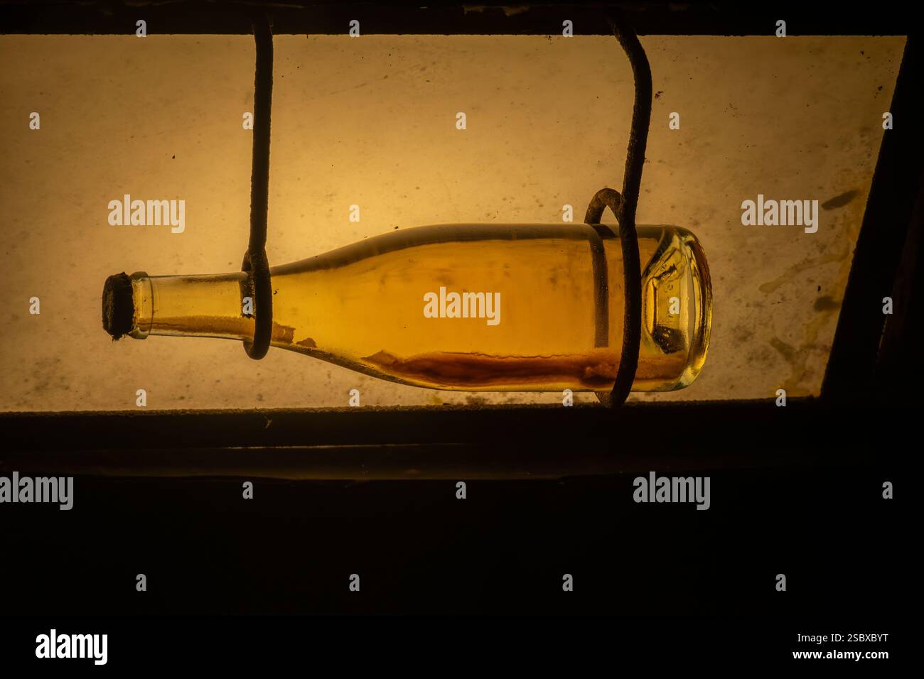 Lees yeast cells left over from fermentation in bottlem in caves ...