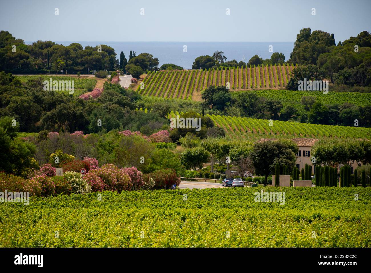 Landscape of French Riviera, view on hills, houses and green vineyards ...