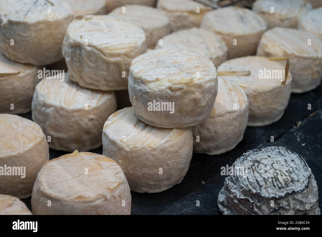 French goat chevre cheeses fresh and crottin chavignol, made from ...