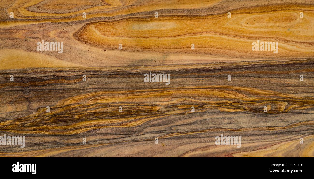 Abstraction in nature hi-res stock photography and images - Alamy