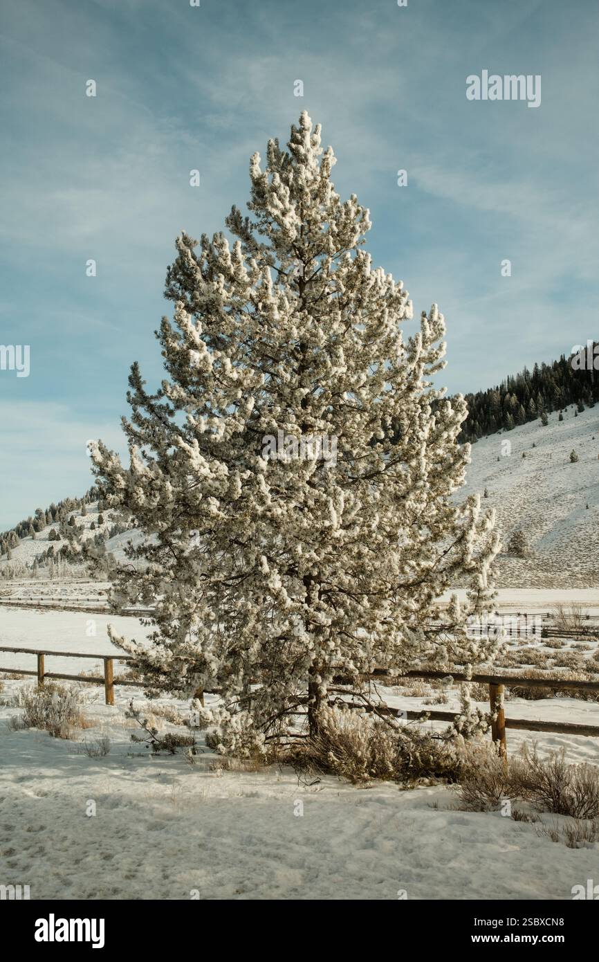 Winter scenes in Stanley Idaho Stock Photo - Alamy