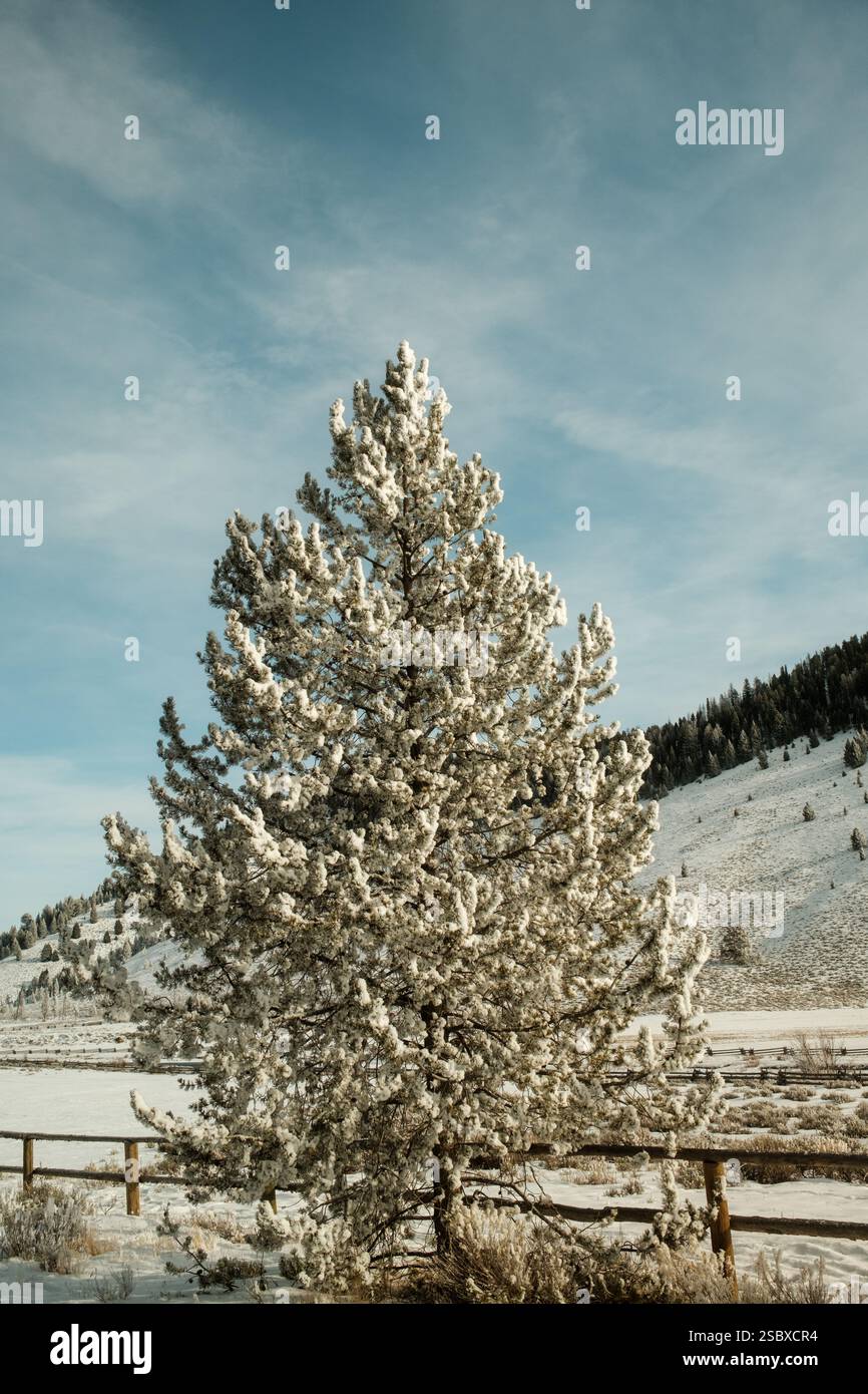 Winter scenes in Stanley Idaho Stock Photo - Alamy