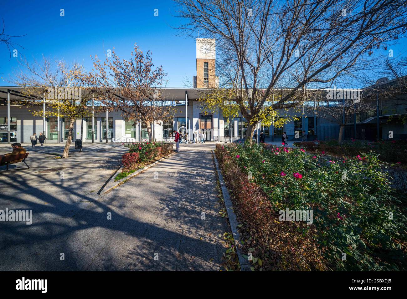 Sunny day at Puerta de Toledo Campus featuring trees and students at ...