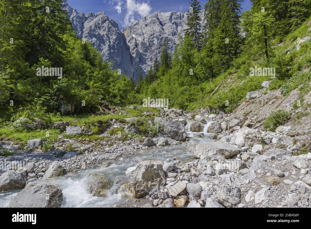 Enger park hi-res stock photography and images - Alamy