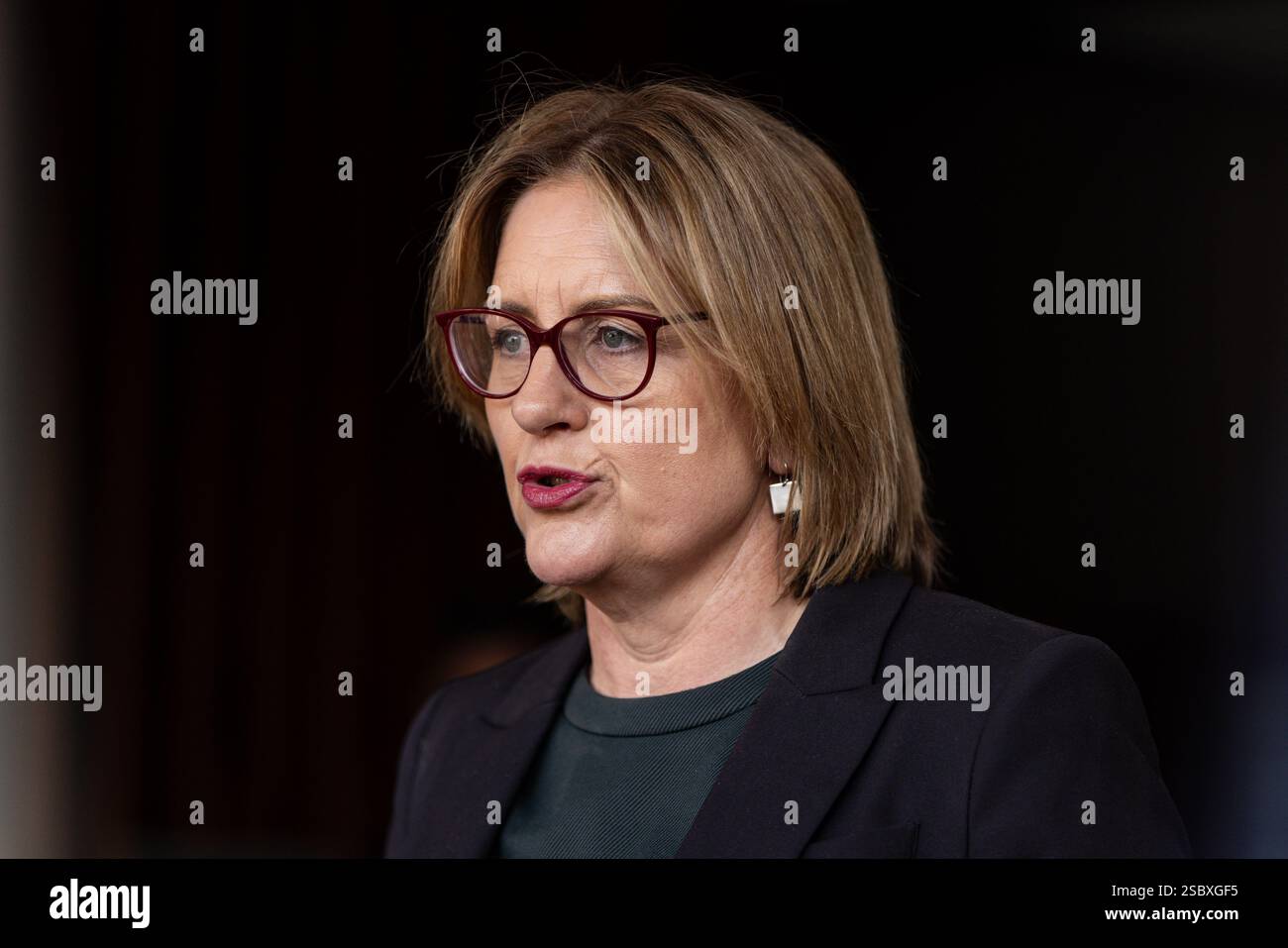 Victorian Premier Jacinta Allan speaks to media at Victorian Parliament ...