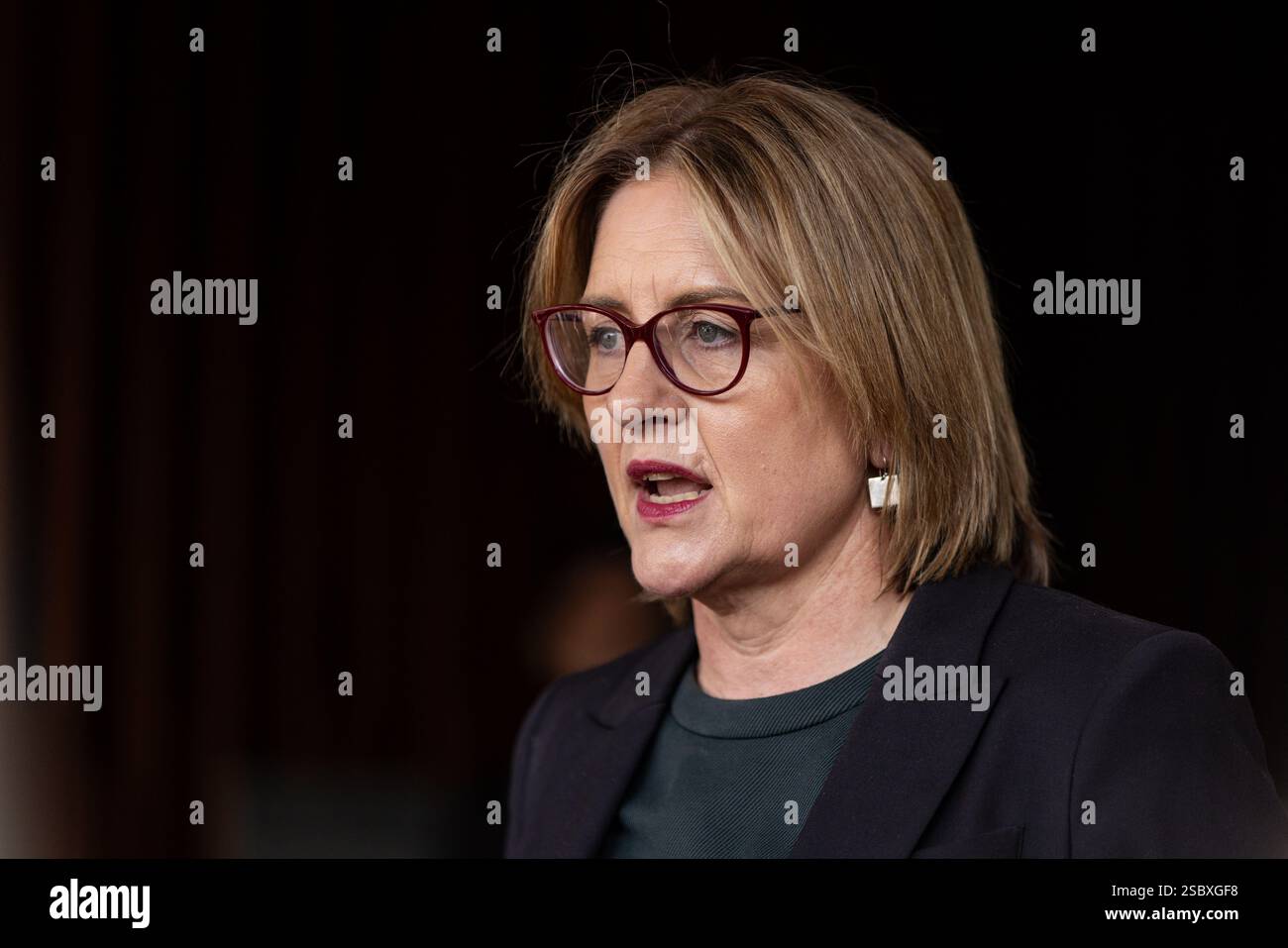 Victorian Premier Jacinta Allan speaks to media at Victorian Parliament ...