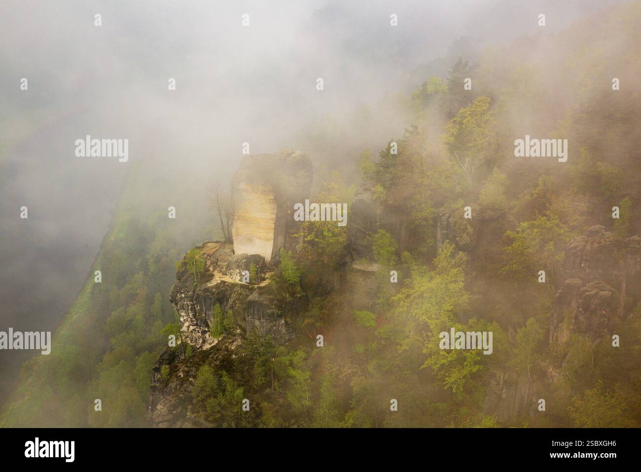 Moody foggy landscape near bastei hi-res stock photography and images ...