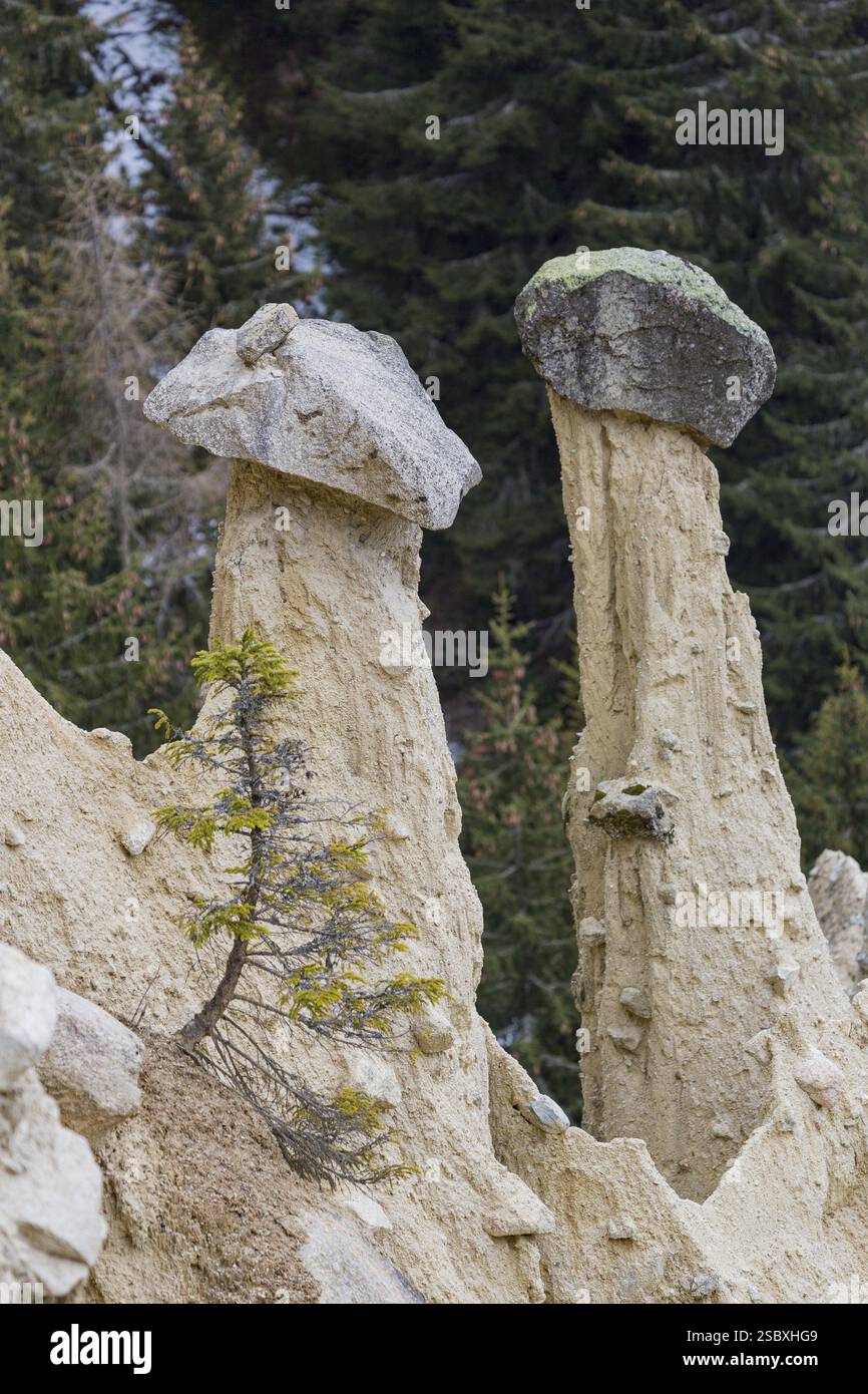 Earth pyramids located in Platten in the municipality of Percha, near ...