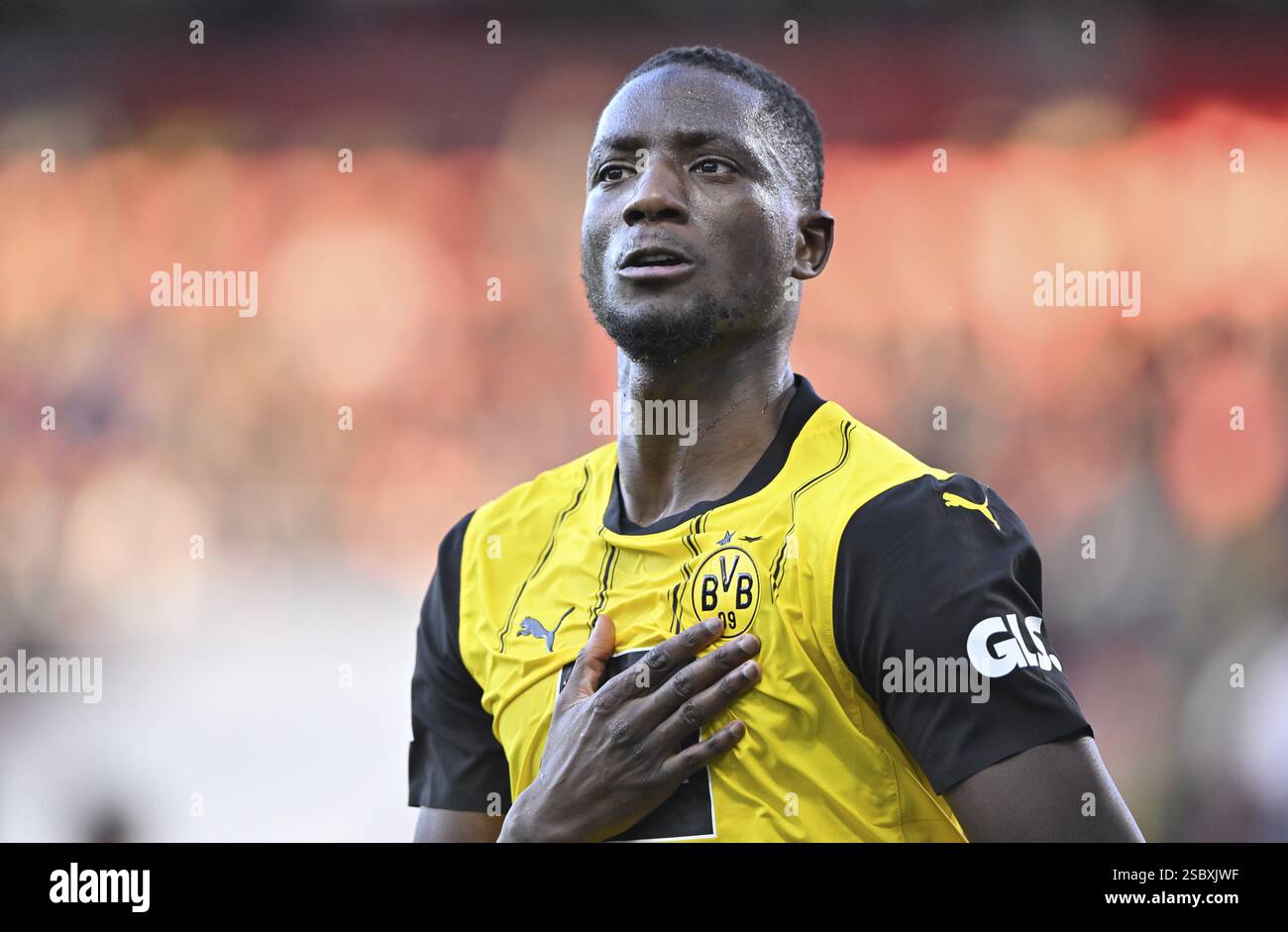 Chest badges hi-res stock photography and images - Alamy