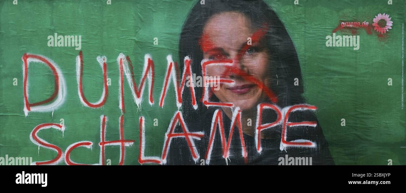 Denigration of a large poster for the 2025 federal election by the ...