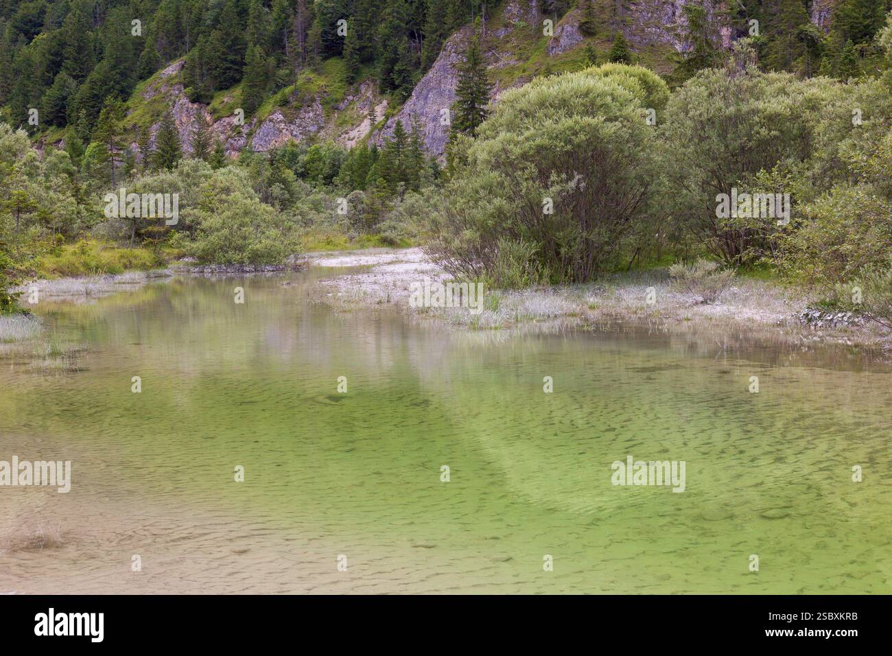 Isar valley nature conservancy area. The wild Isar river flows through ...