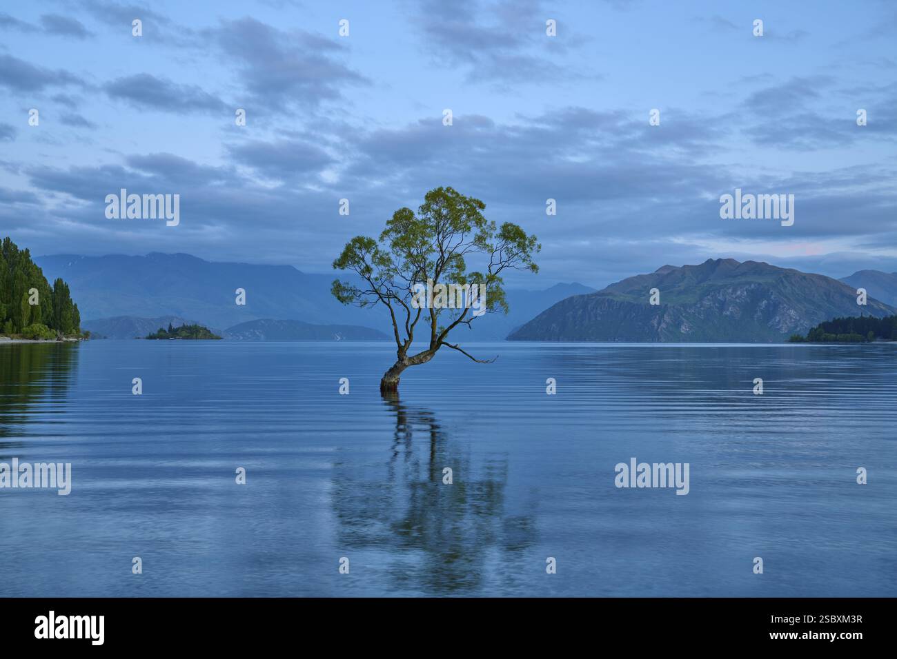 A single tree stands in calm blue water against a mountain backdrop ...