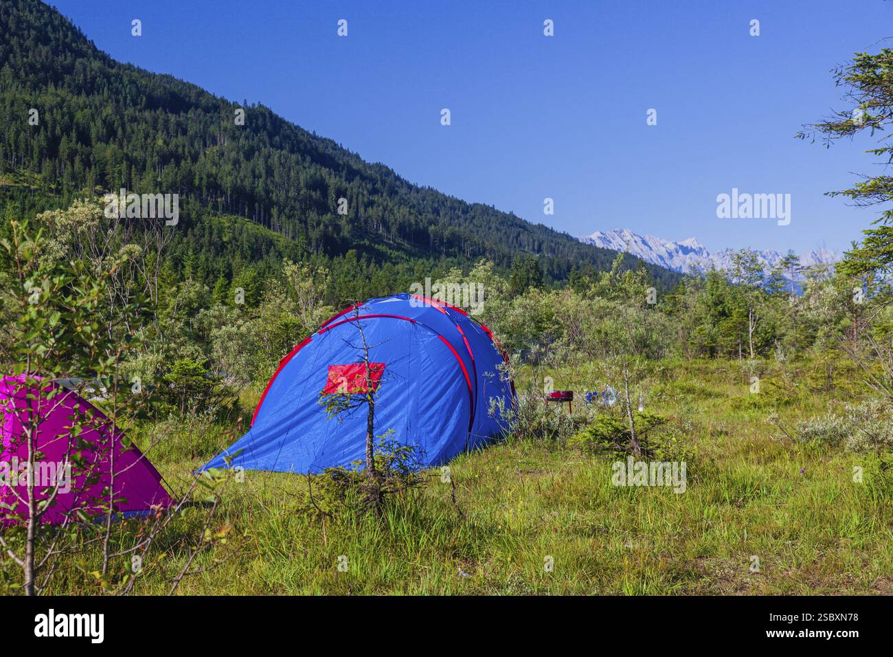 Tents in a nature conservancy area. Forbidden camping. Camping in ...